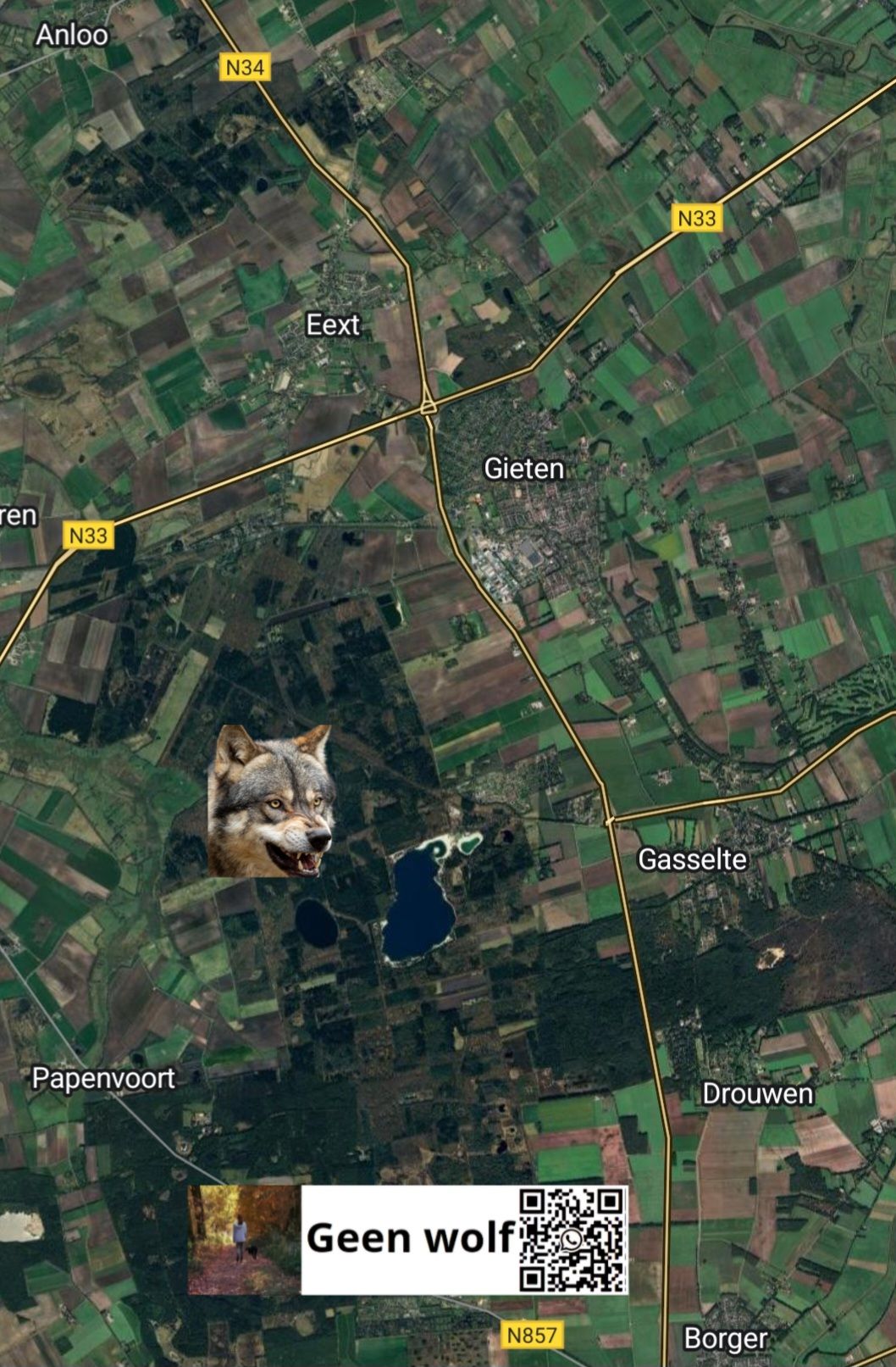 Gasselte Drenthe 26-11-2025 15.00 uur – Geen wolf
